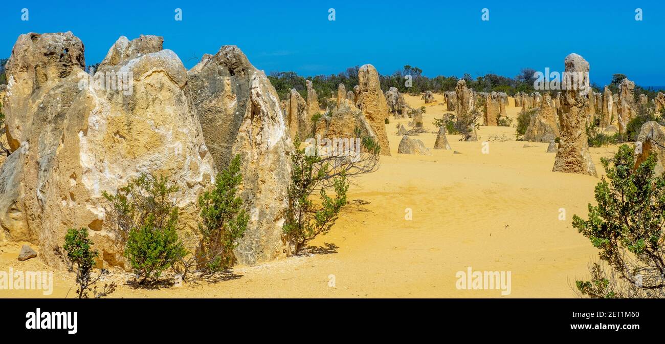 The Pinnacles, thousands of limestone formations or pillars, within ...