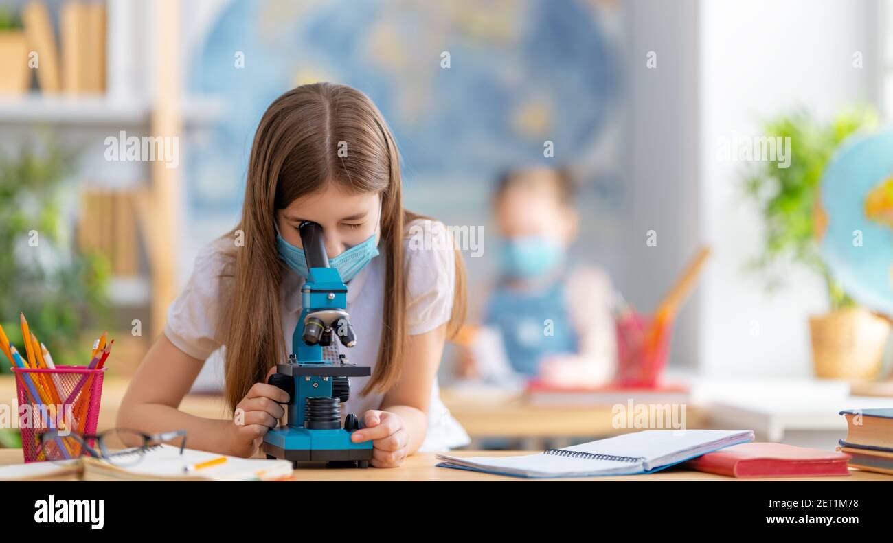 Back to school! Cute industrious children are sitting at desks indoors ...