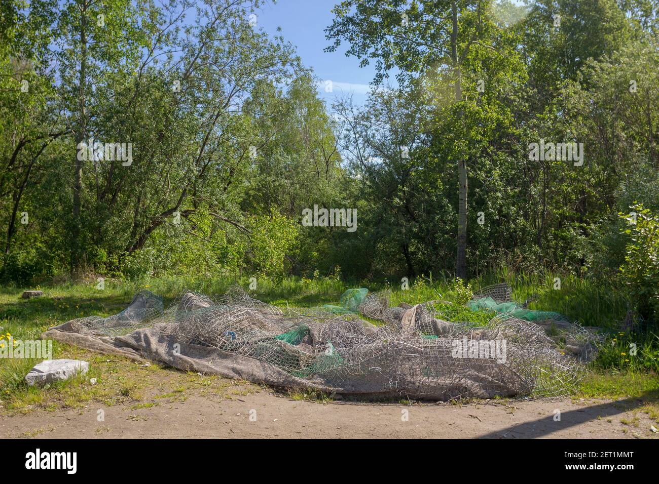 Old net for fishing in the forest Stock Photo - Alamy