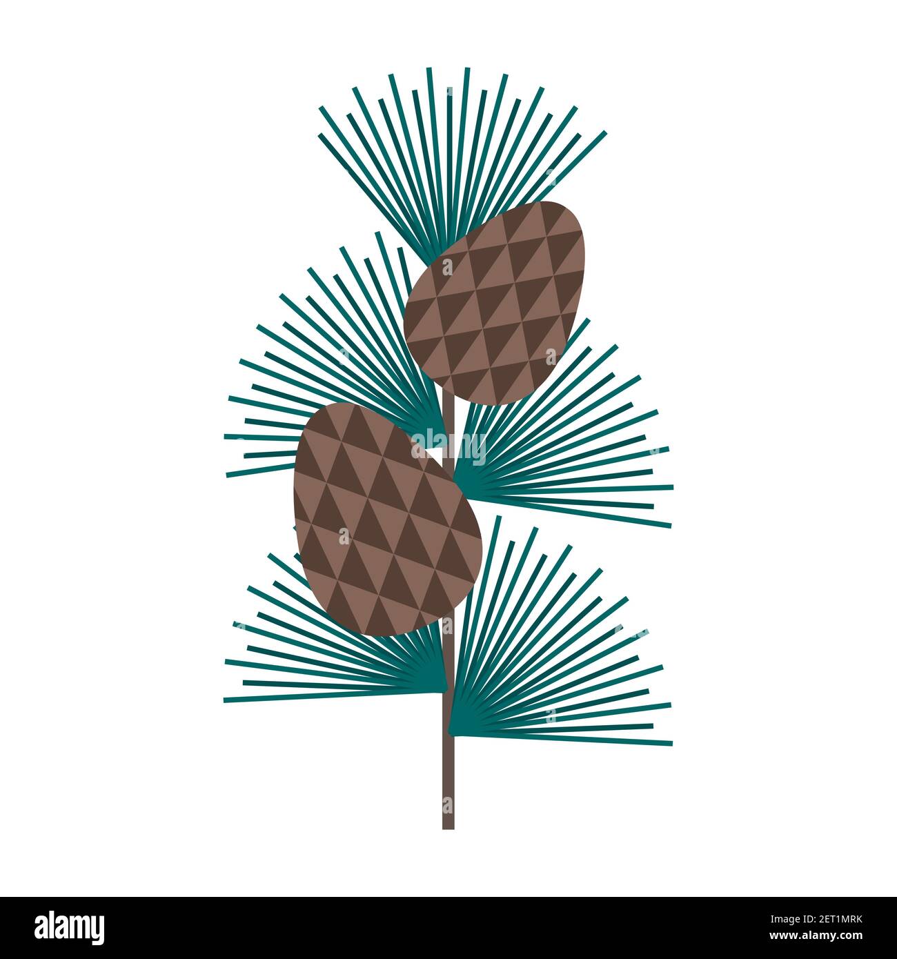 Pine sprig cone Stock Vector Images - Alamy