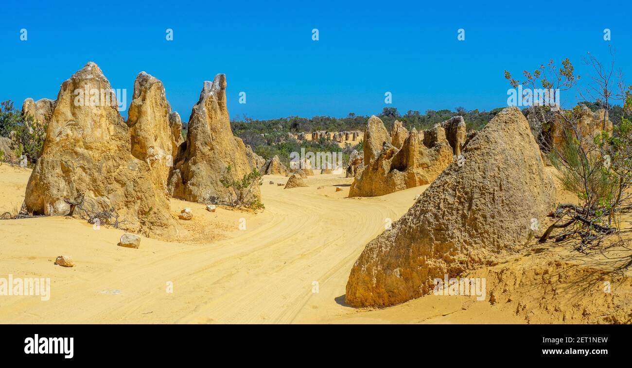 The Pinnacles, thousands of limestone formations or pillars, within ...