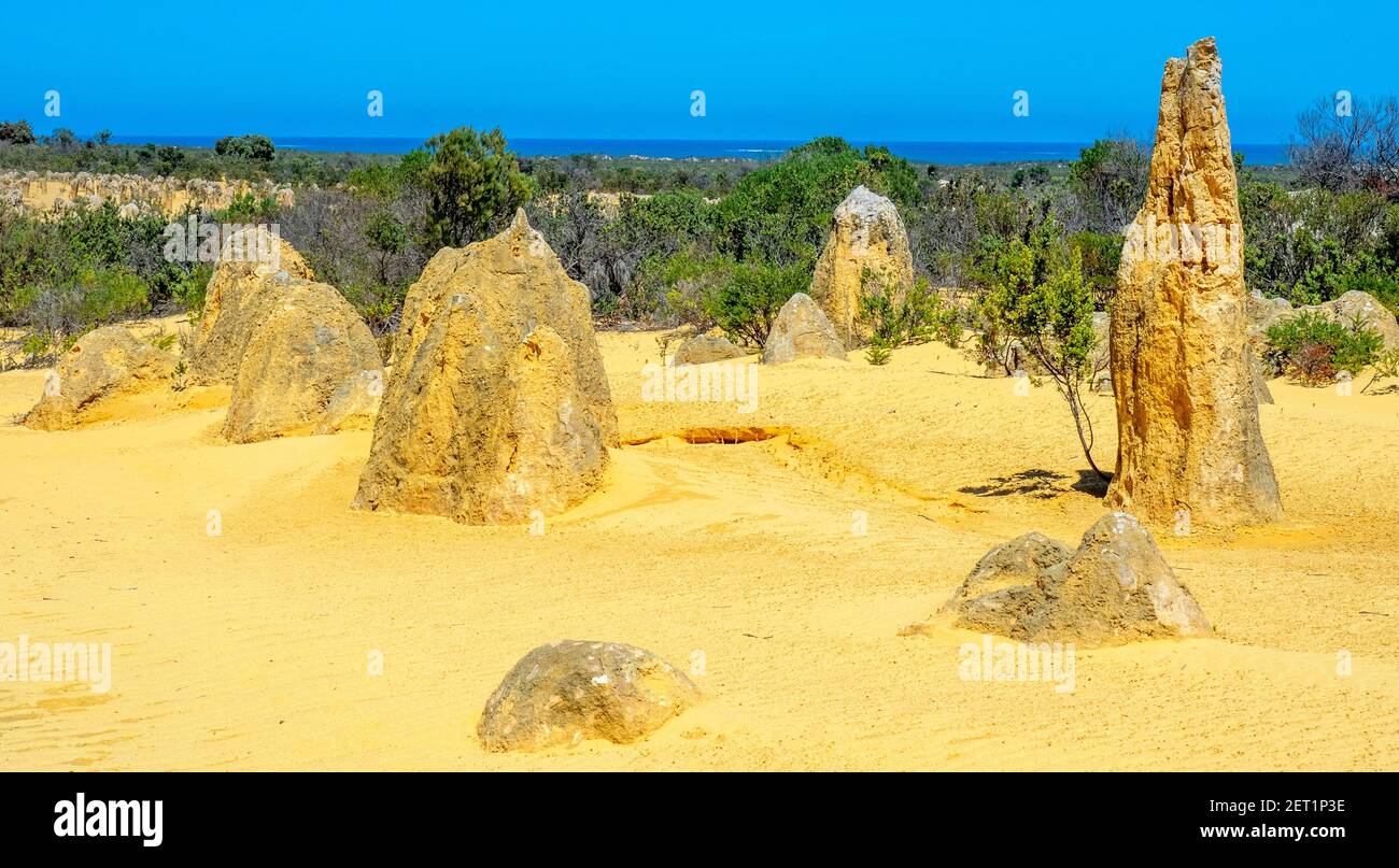 The Pinnacles, thousands of limestone formations or pillars, within ...