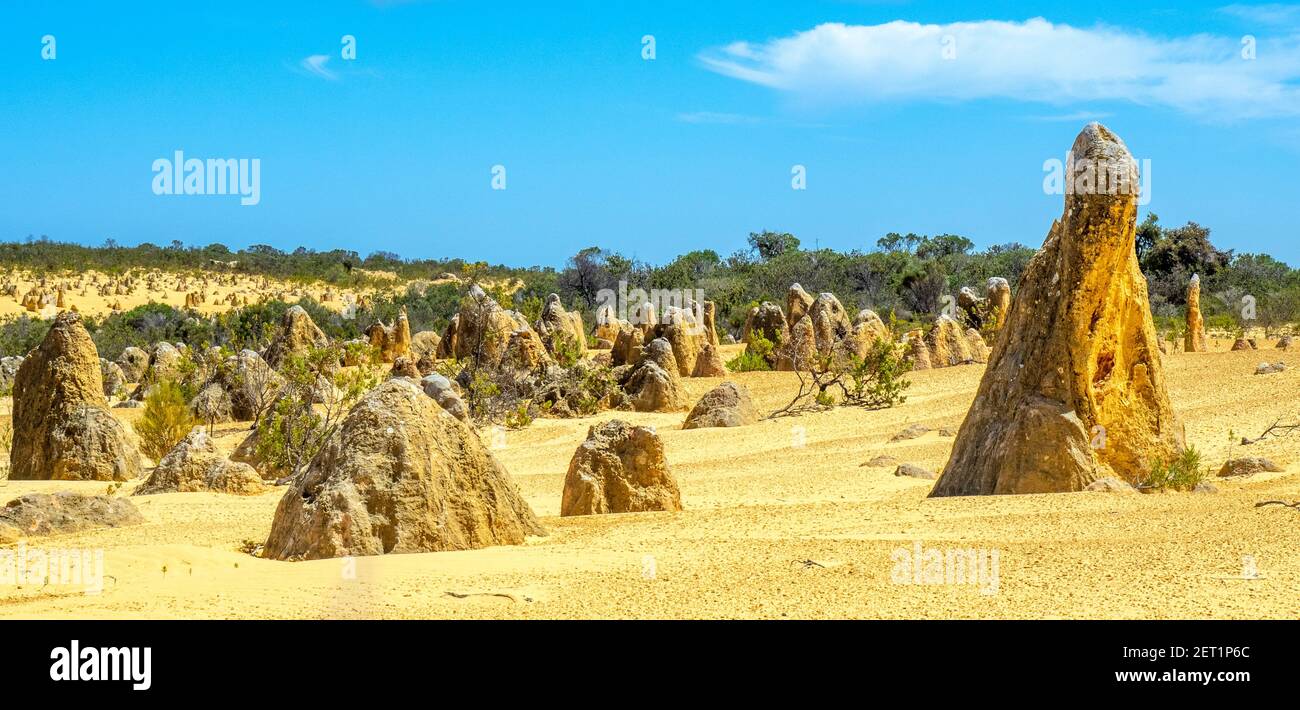 The Pinnacles, thousands of limestone formations or pillars, within ...