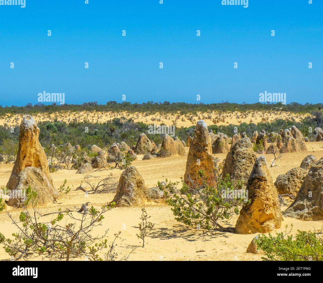 The Pinnacles, thousands of limestone formations or pillars, within ...