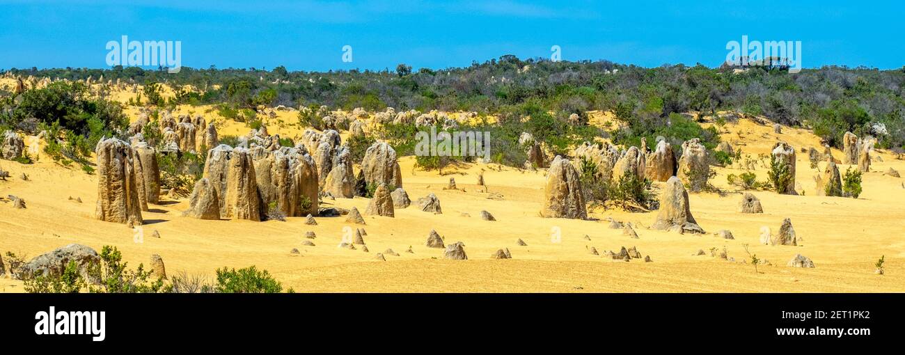 The Pinnacles, thousands of limestone formations or pillars, within ...