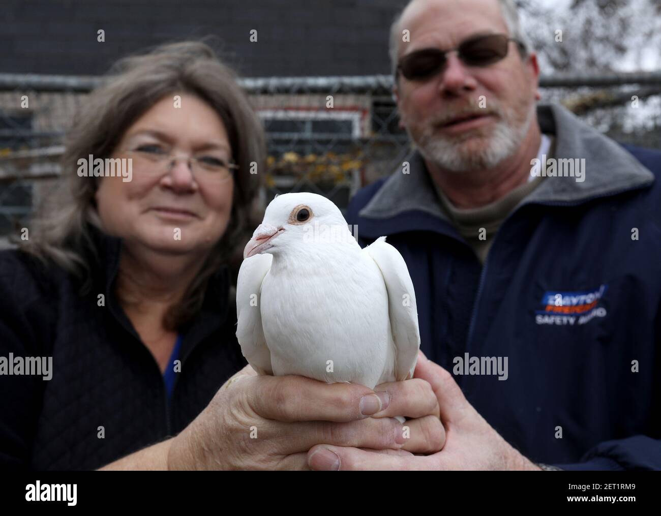 Phyllis and Jeff Stevens, owners of Dreamers White Dove Release in ...