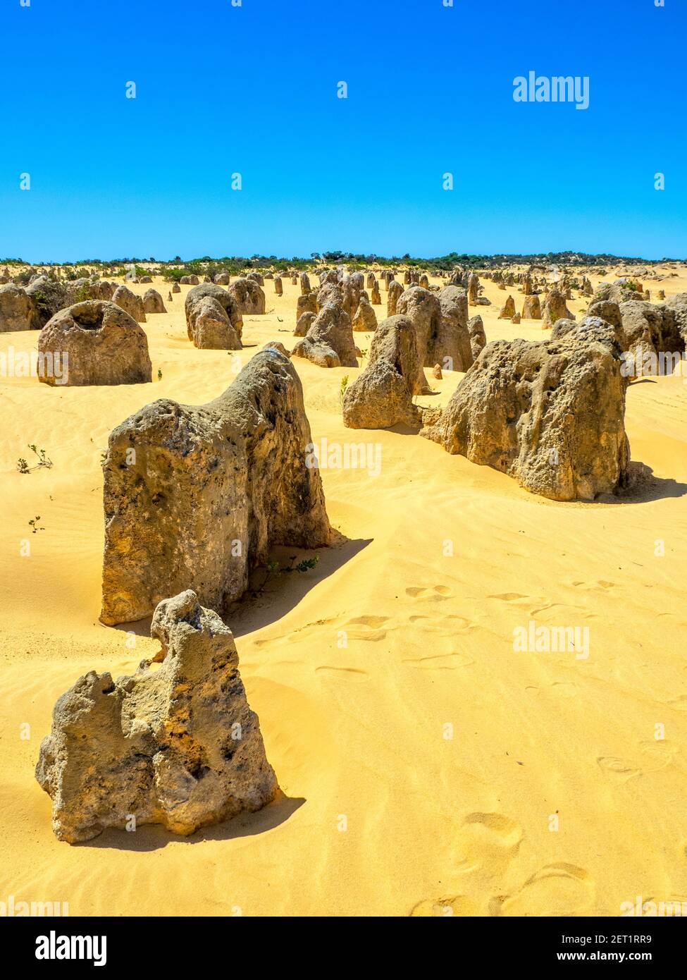 The Pinnacles, thousands of limestone formations or pillars, within ...