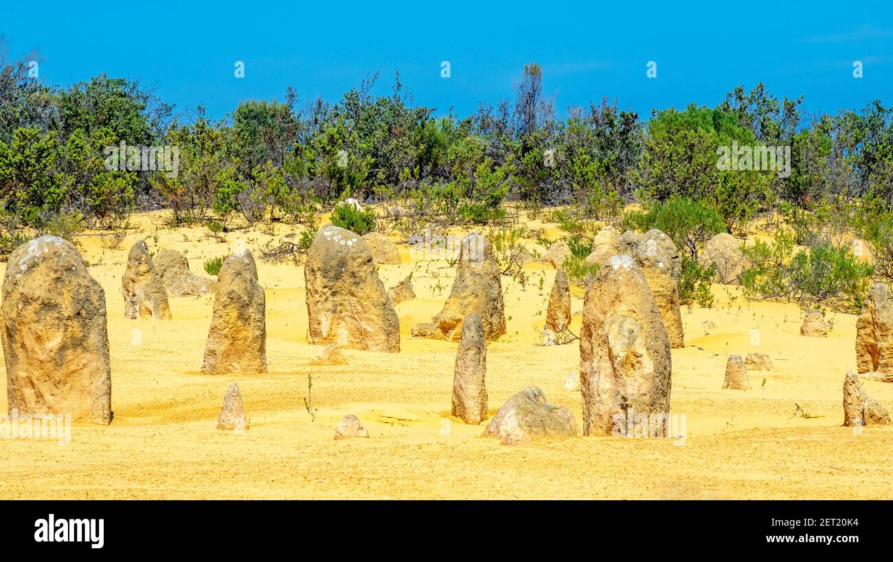 The Pinnacles, thousands of limestone formations or pillars, within ...