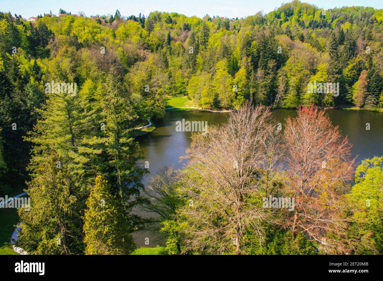 Trako¨an Lake, located in northern Croatia (in the Vara¸din County ...