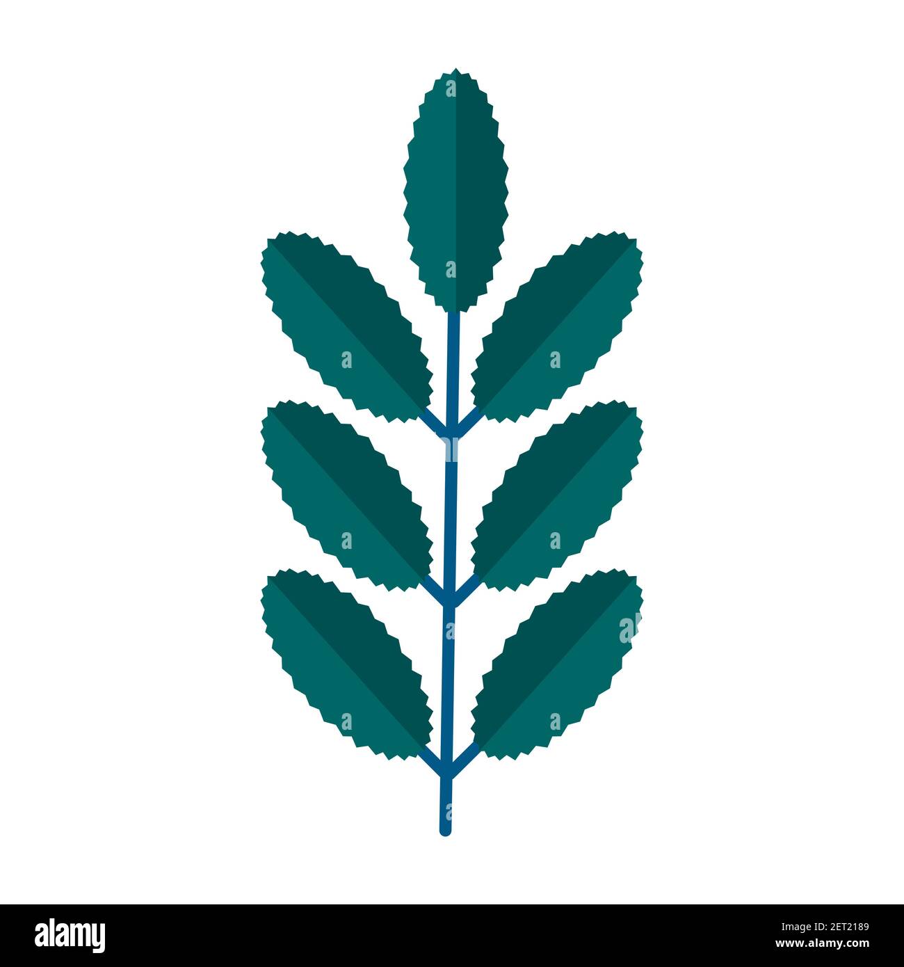 Rowan blossom tree Stock Vector Images - Alamy