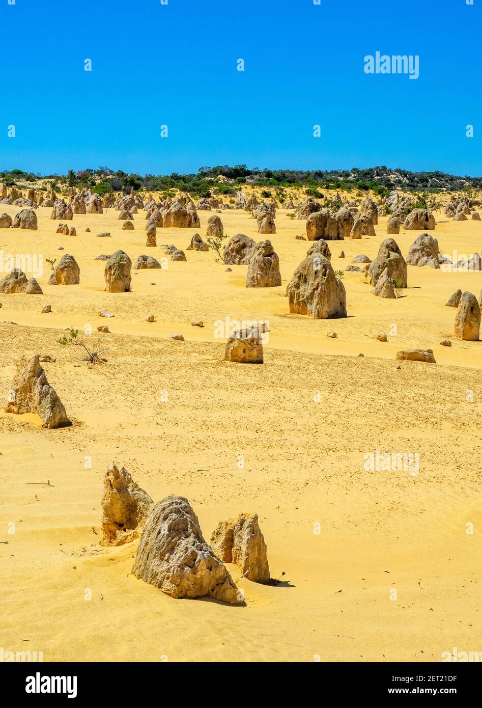 The Pinnacles, thousands of limestone formations or pillars, within ...