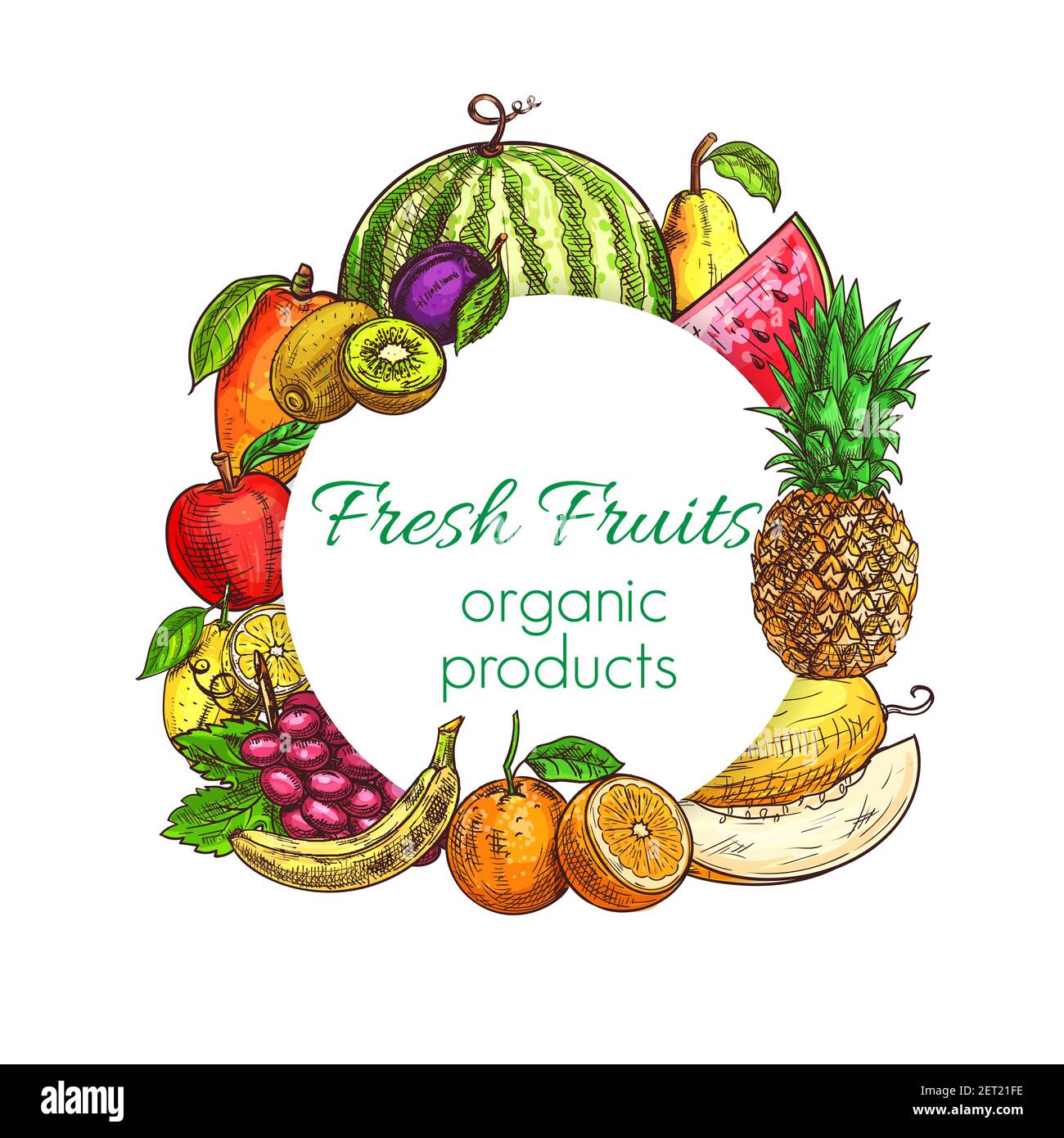 Fresh fruits and tropical berries vector sketch, organic farm food and ...