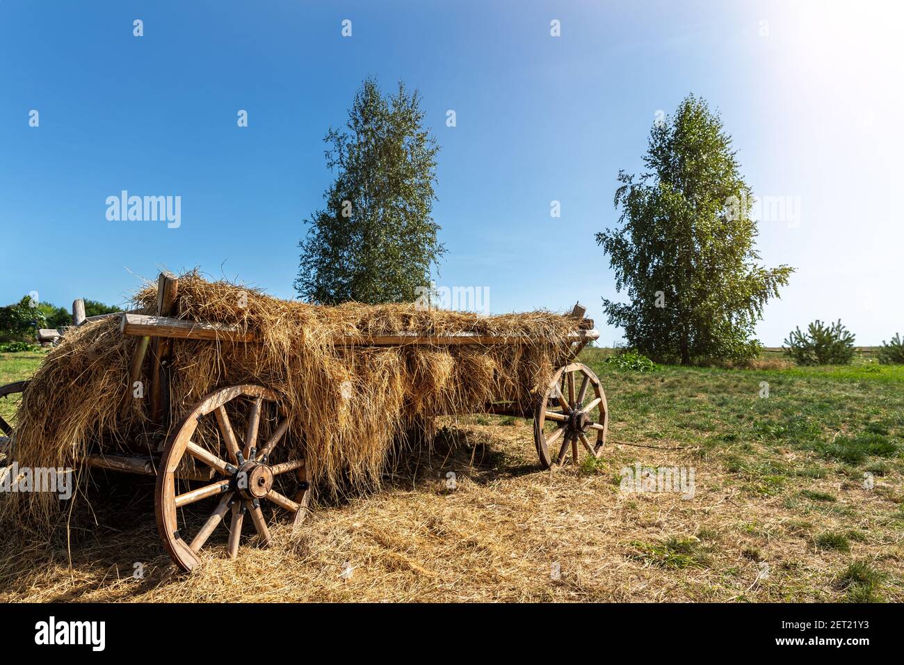 Old vintage rustic wooden ancient cart carriage with hay pile on green ...