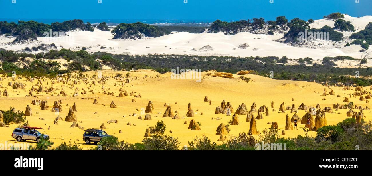 The Pinnacles, thousands of limestone formations or pillars, within ...