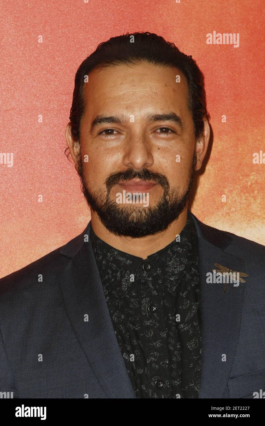 Los Angeles, CA - NOV 14: Alejandro Edda attends Netflix's 'Narcos ...