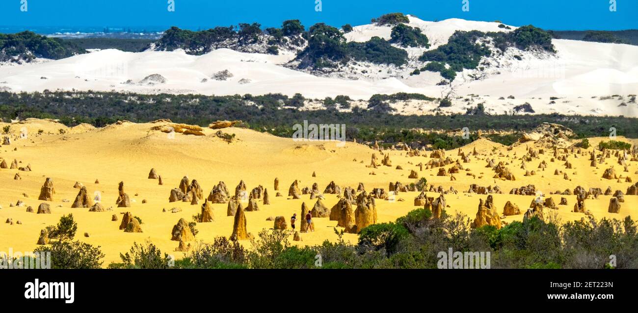 The Pinnacles, thousands of limestone formations or pillars, within ...