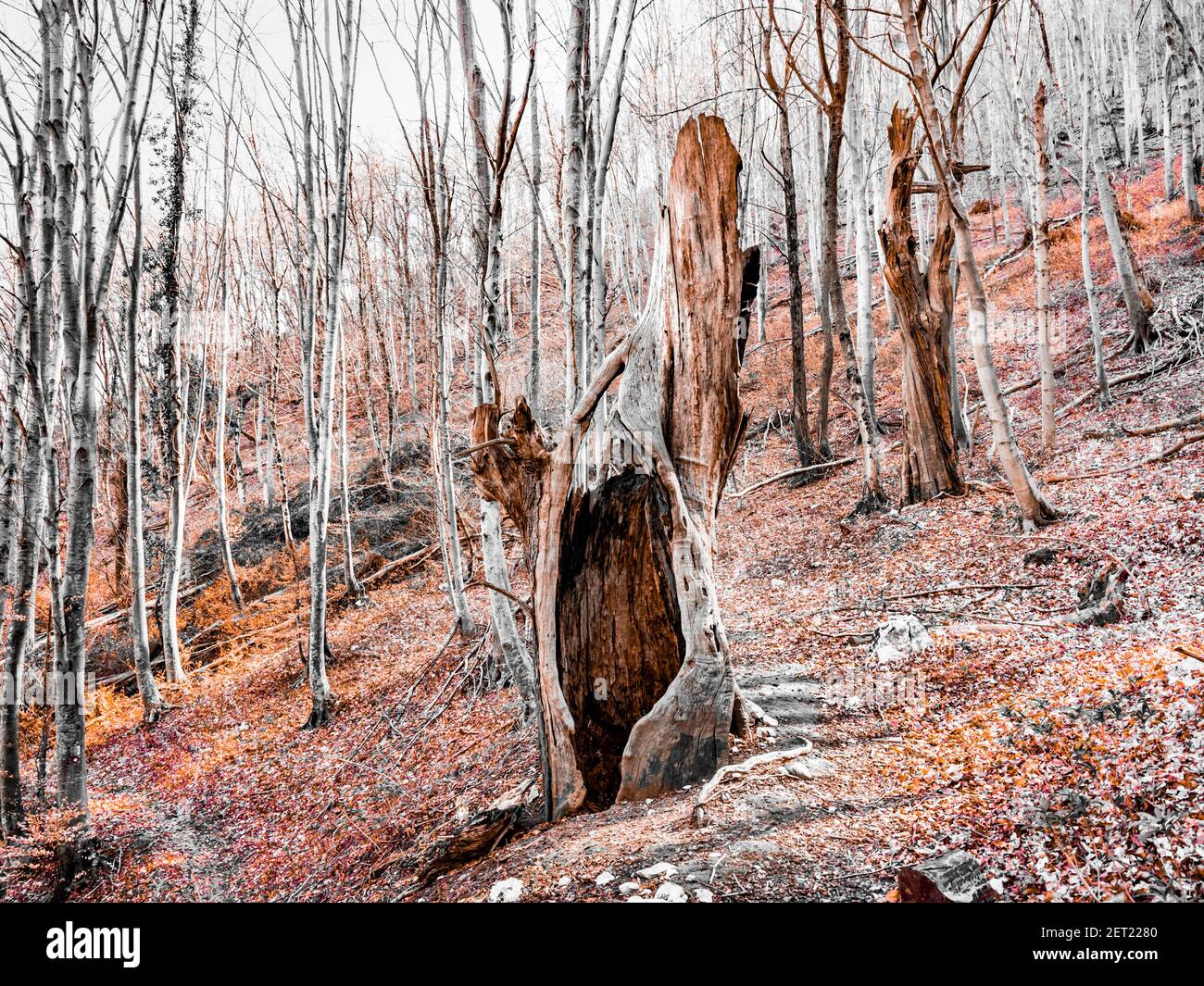 Singular space hi-res stock photography and images - Alamy