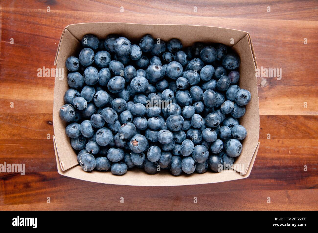 farm fresh picked organic blueberries ready to eat Stock Photo - Alamy