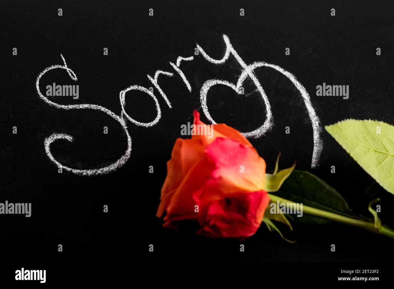 Forgiveness black and white hi-res stock photography and images - Alamy