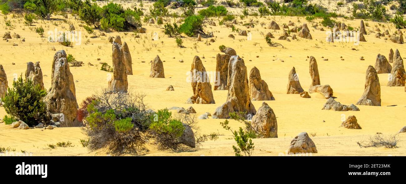 Pinnacles Desert weathered limestone pillars popular tourist attraction ...