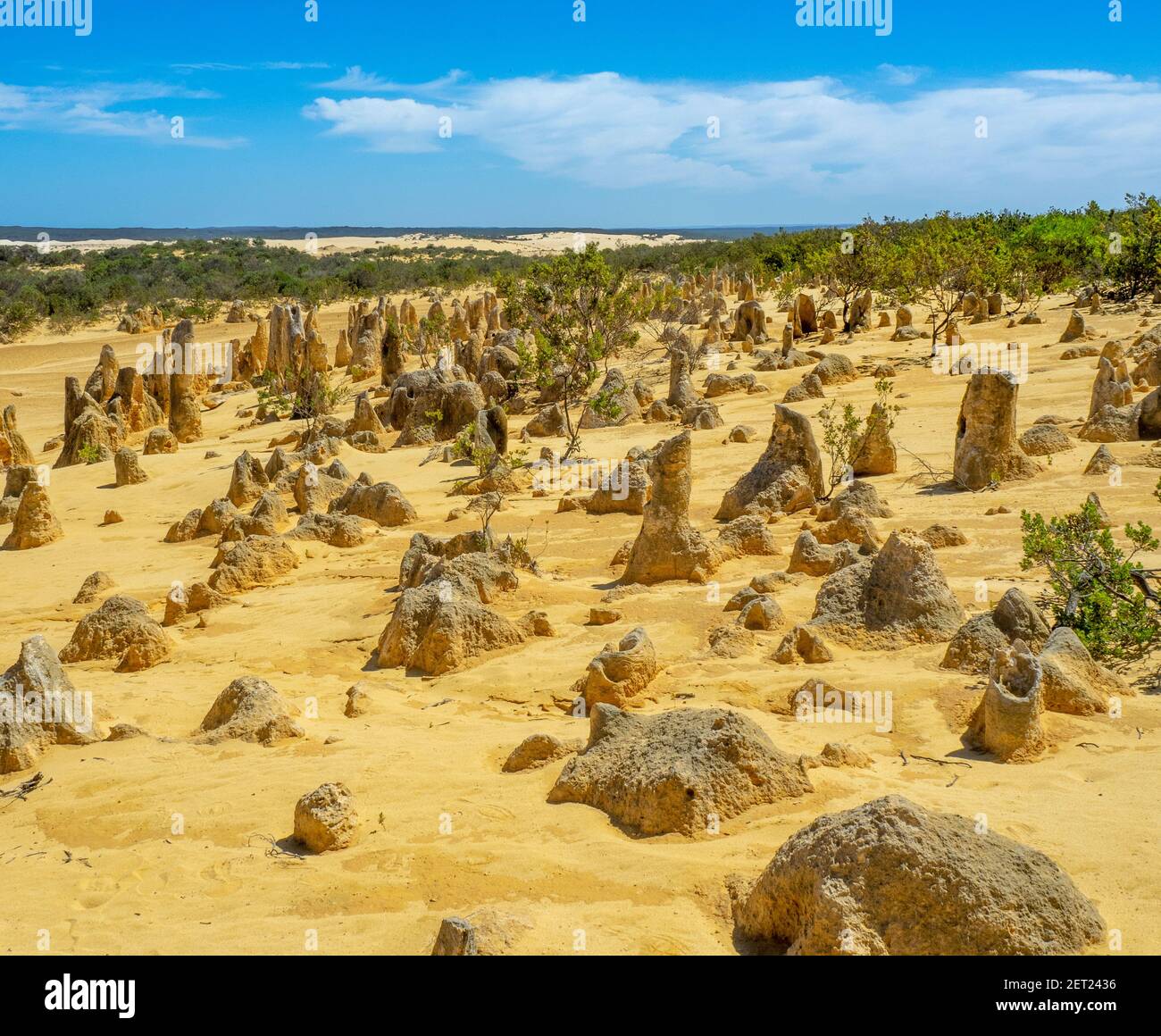 Pinnacles Desert weathered limestone pillars popular tourist attraction ...