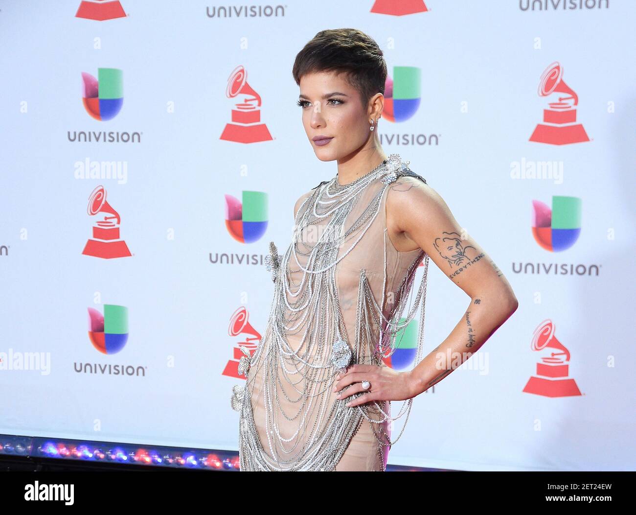 LAS VEGAS, NV - NOVEMBER 15: Halsey attends the 19th annual Latin ...
