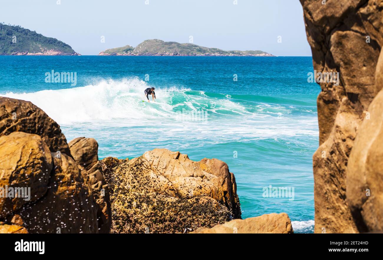 A male surfer in a wavy sea Stock Photo - Alamy