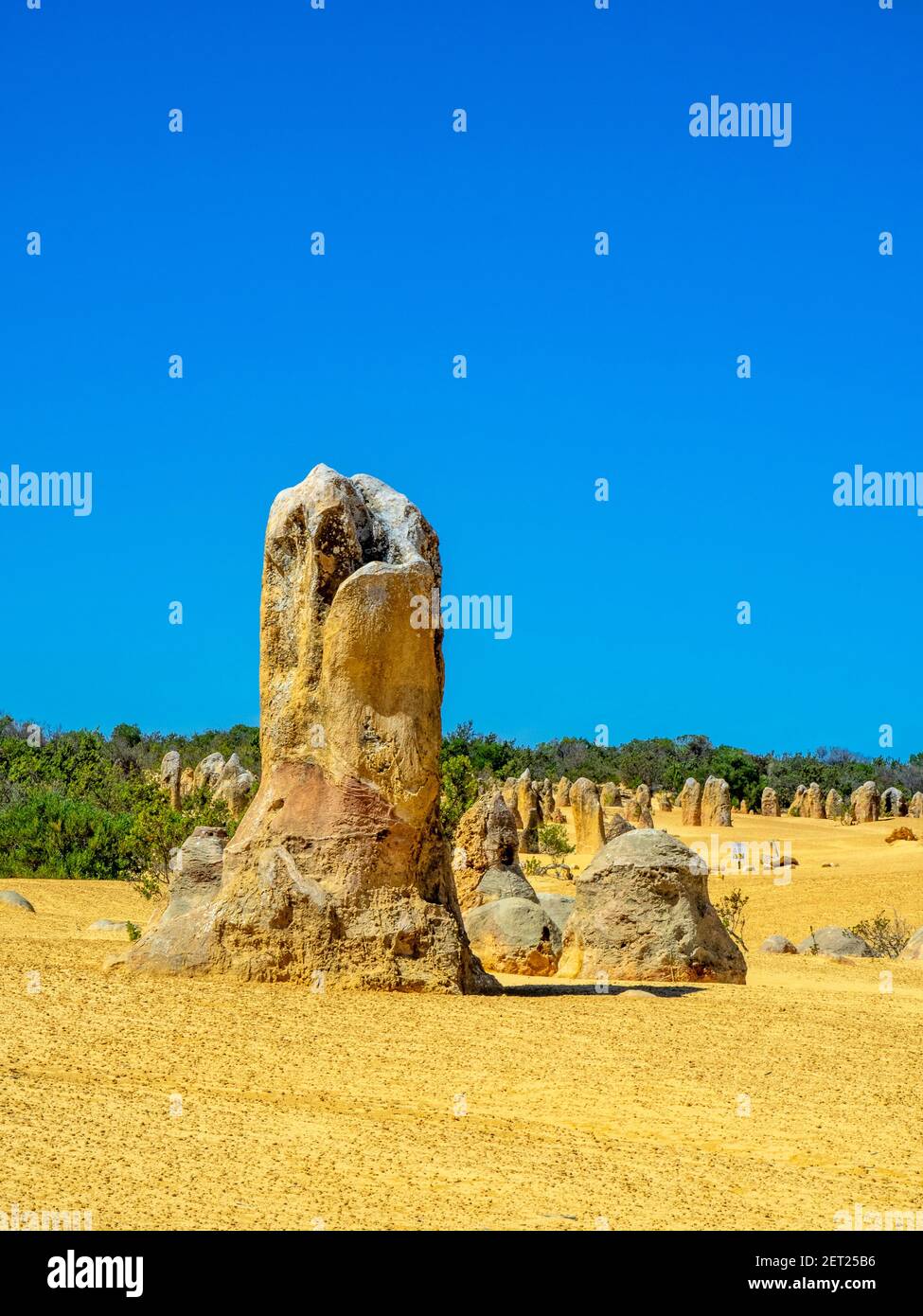 Pinnacles Desert weathered limestone pillars popular tourist attraction ...