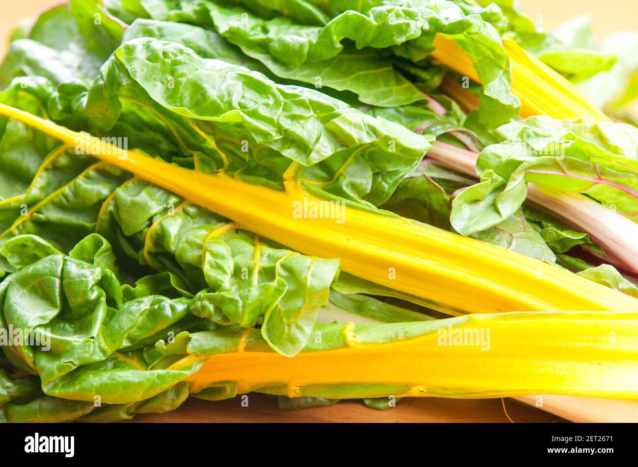 organic swiss chard in yellow, pink red and green Stock Photo - Alamy