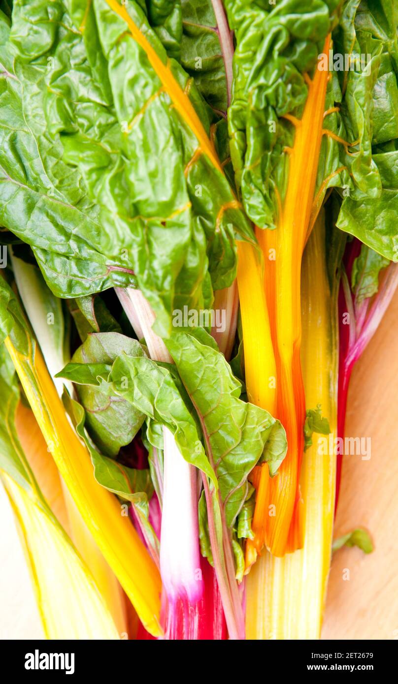 organic swiss chard in yellow, pink red and green Stock Photo - Alamy
