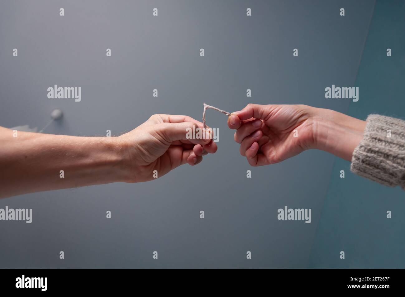 Lucky wishbone from a chicken. Chance to make a wish. Pulling on a ...