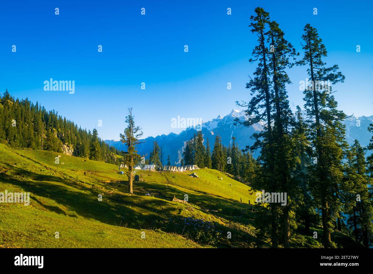 Landscape with trees. Beautiful camping site on Majestic Himalayan ...