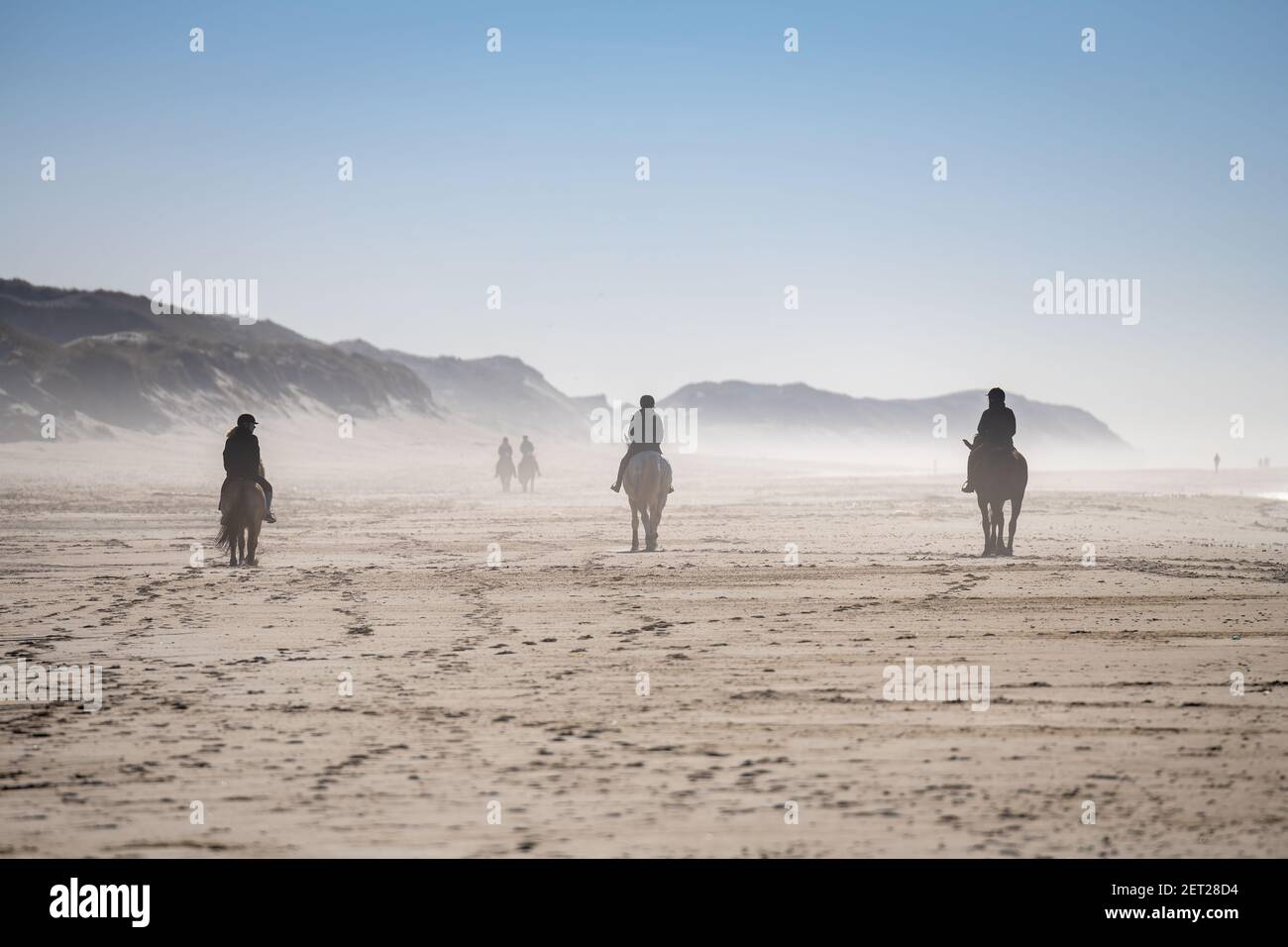 A rear view of people horse riding on the beach near Esbjerg, Denmark ...