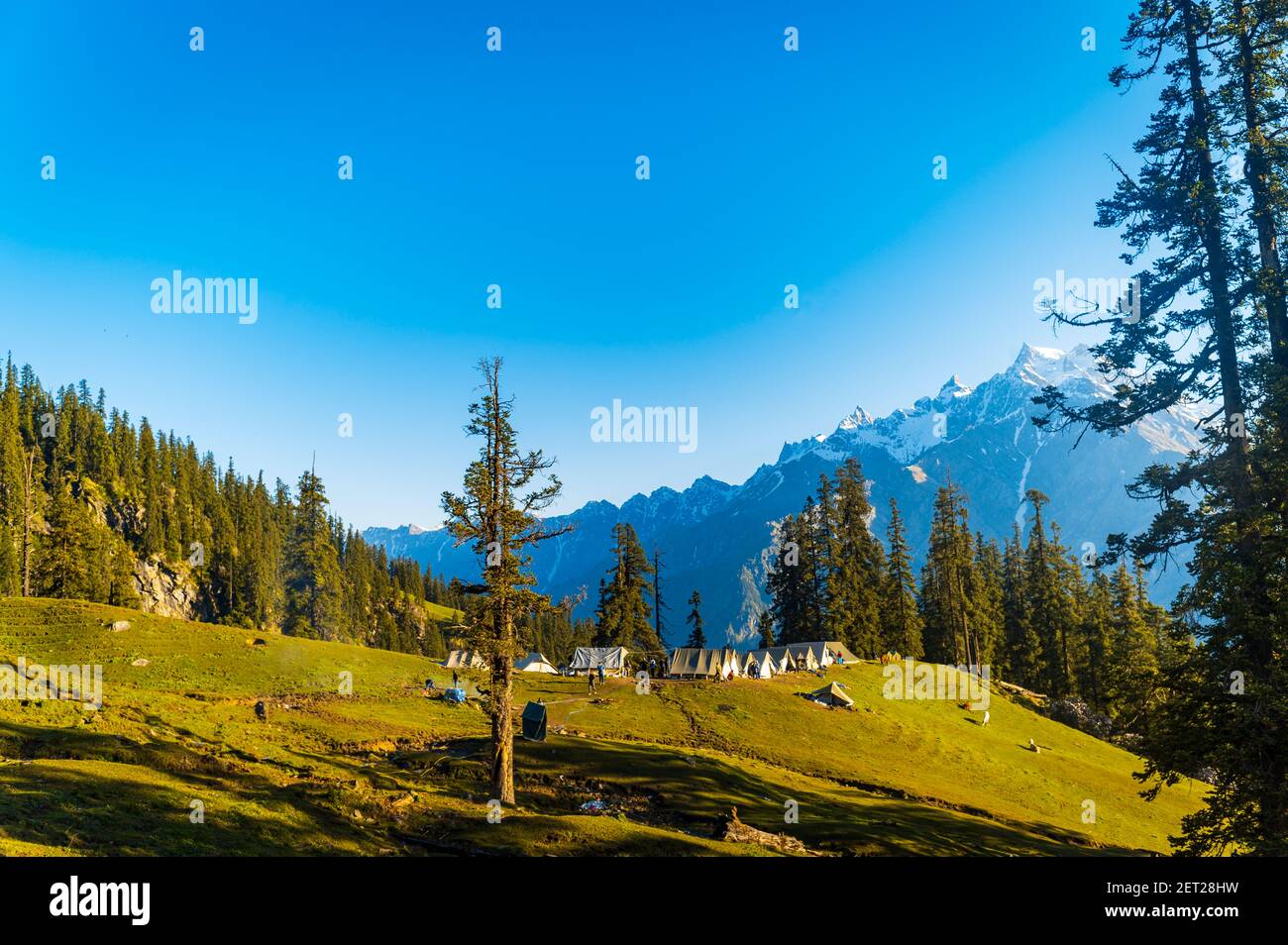 Landscape with trees. Beautiful camping site on Majestic Himalayan ...