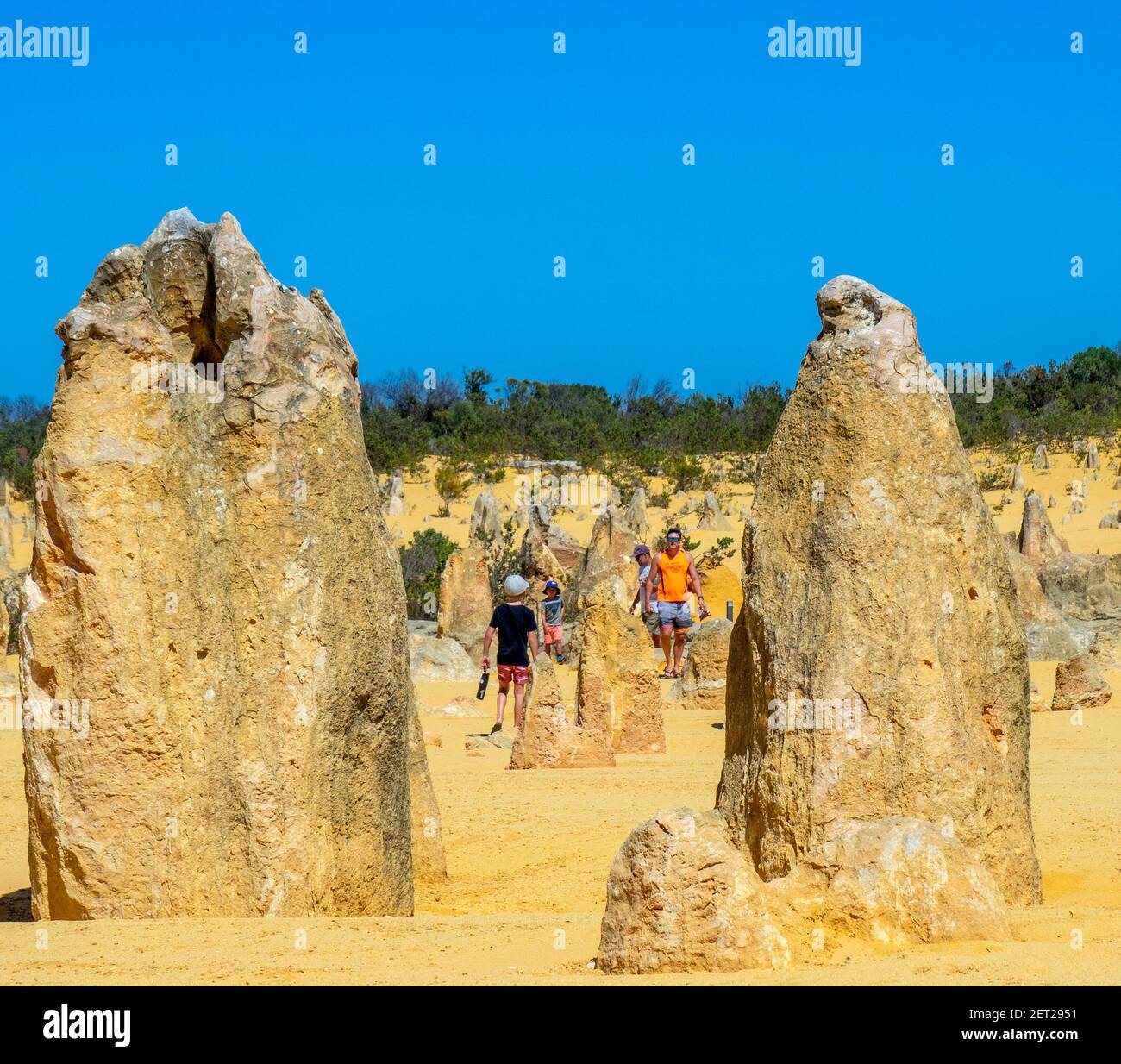 Tourists at Pinnacles Desert weathered limestone pillars popular ...