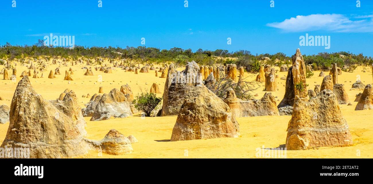 Pinnacles Desert weathered limestone pillars popular tourist attraction ...