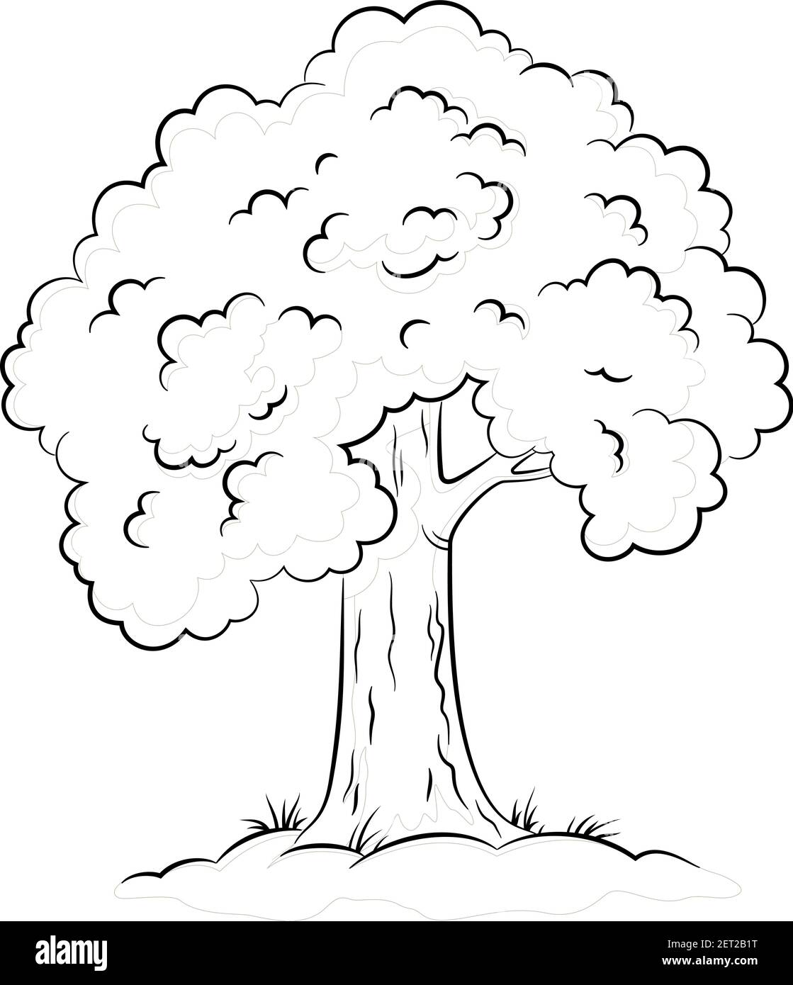 Oak Tree Contours Stock Vector Image & Art - Alamy