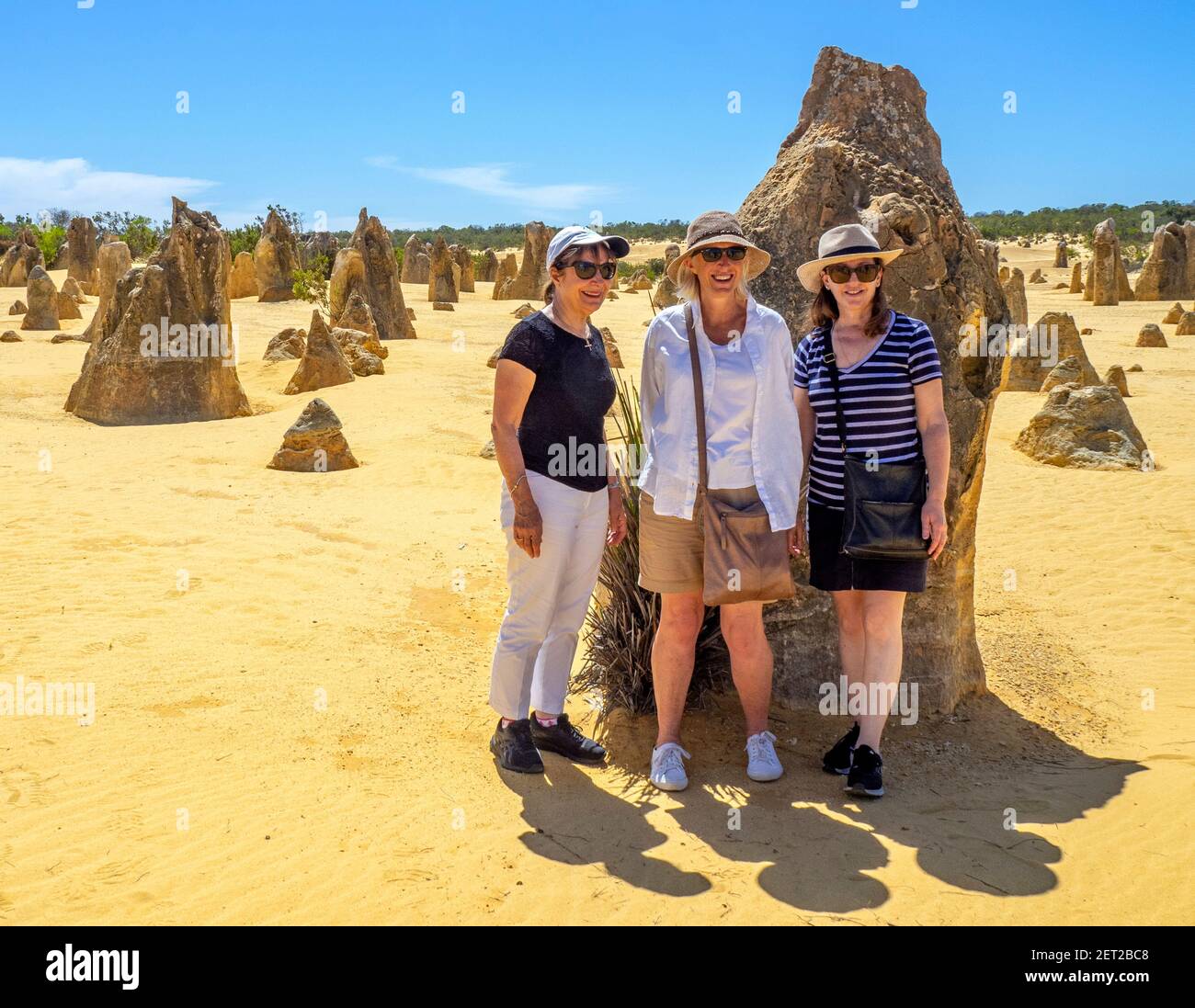 Tourists at Pinnacles Desert weathered limestone pillars popular ...