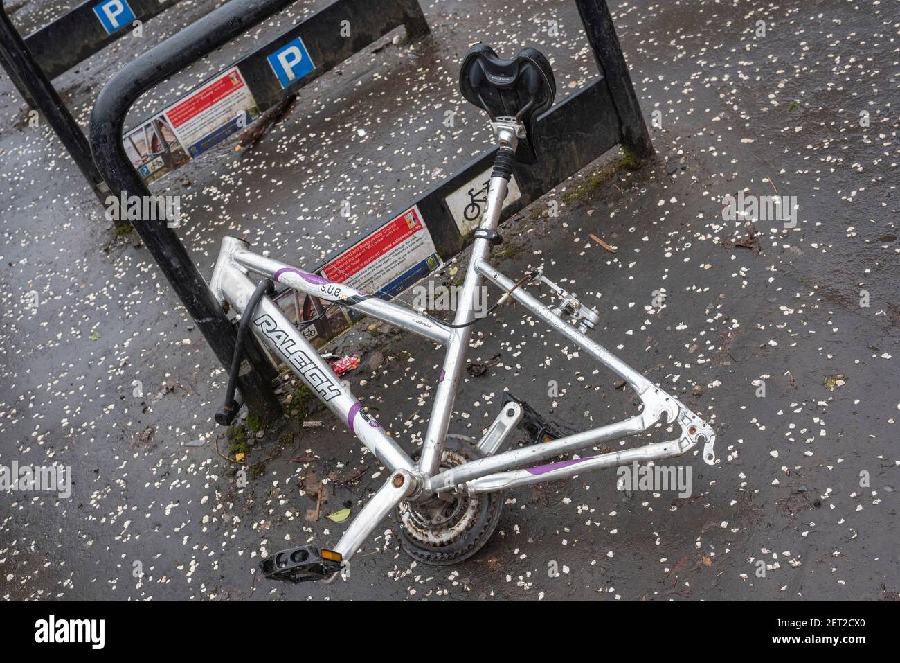 Anti cycle hi-res stock photography and images - Alamy