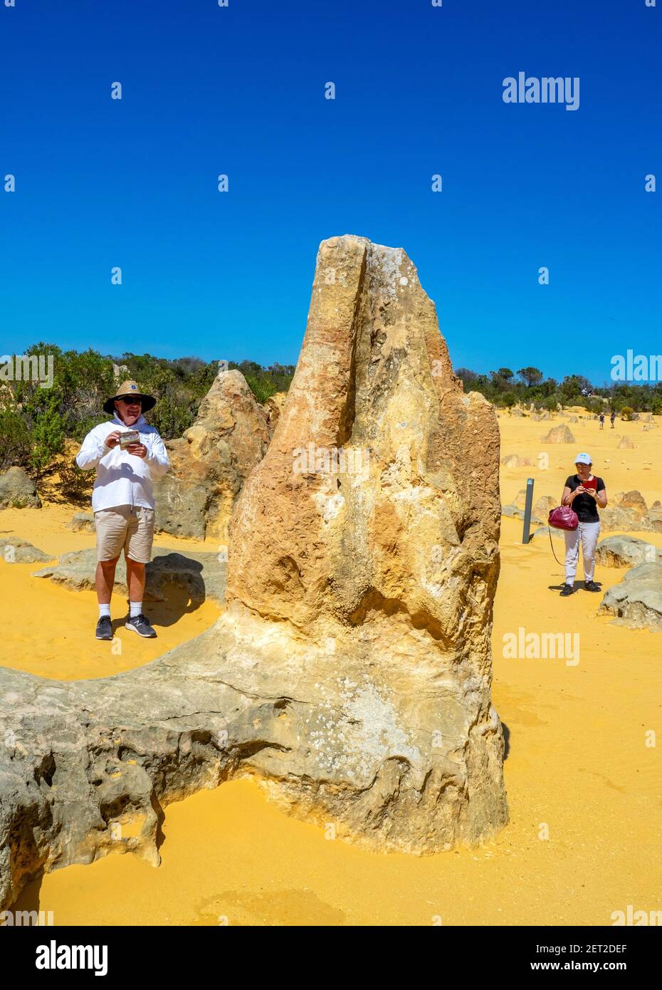 Tourists at Pinnacles Desert weathered limestone pillars popular ...