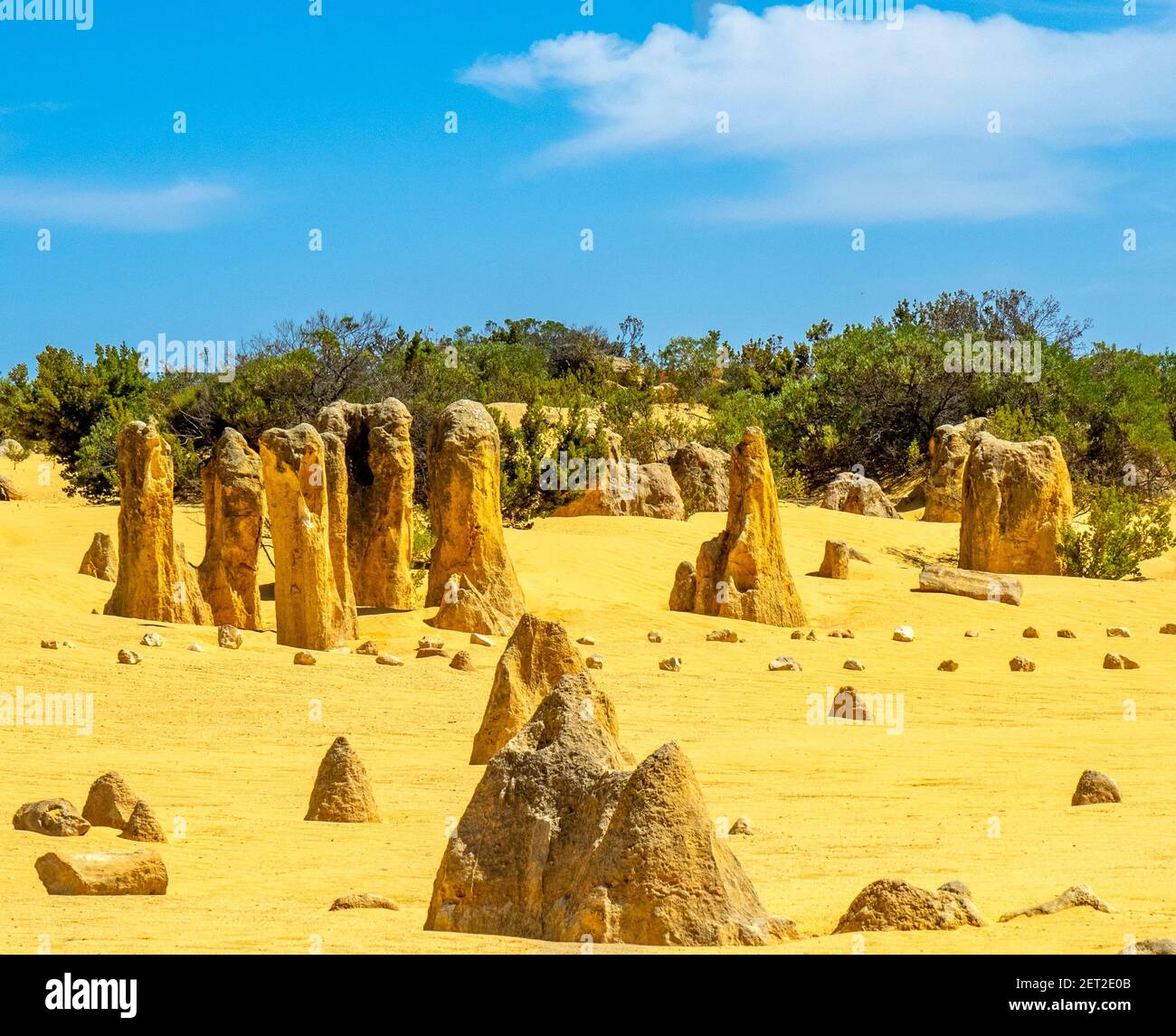 Pinnacles Desert weathered limestone pillars popular tourist attraction ...