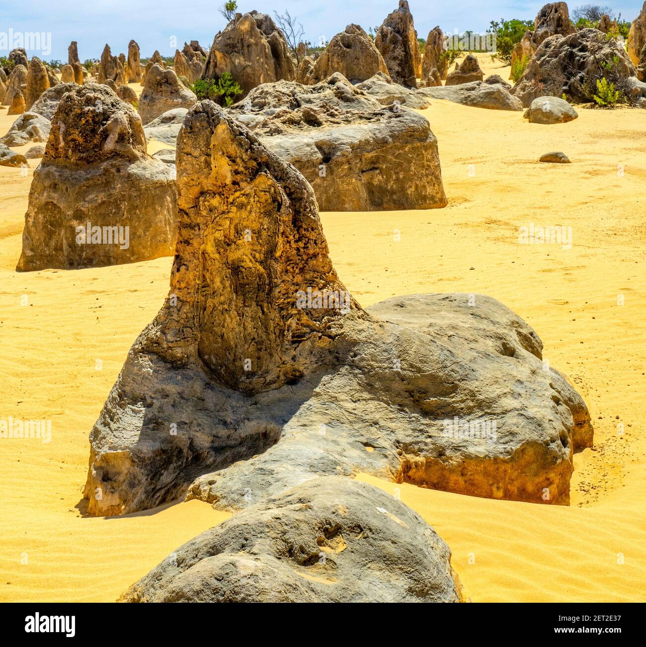 Pinnacles Desert weathered limestone pillars popular tourist attraction ...