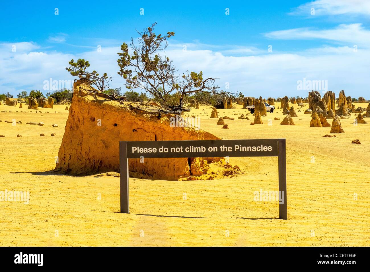 Pinnacles Desert weathered limestone pillars popular tourist attraction ...
