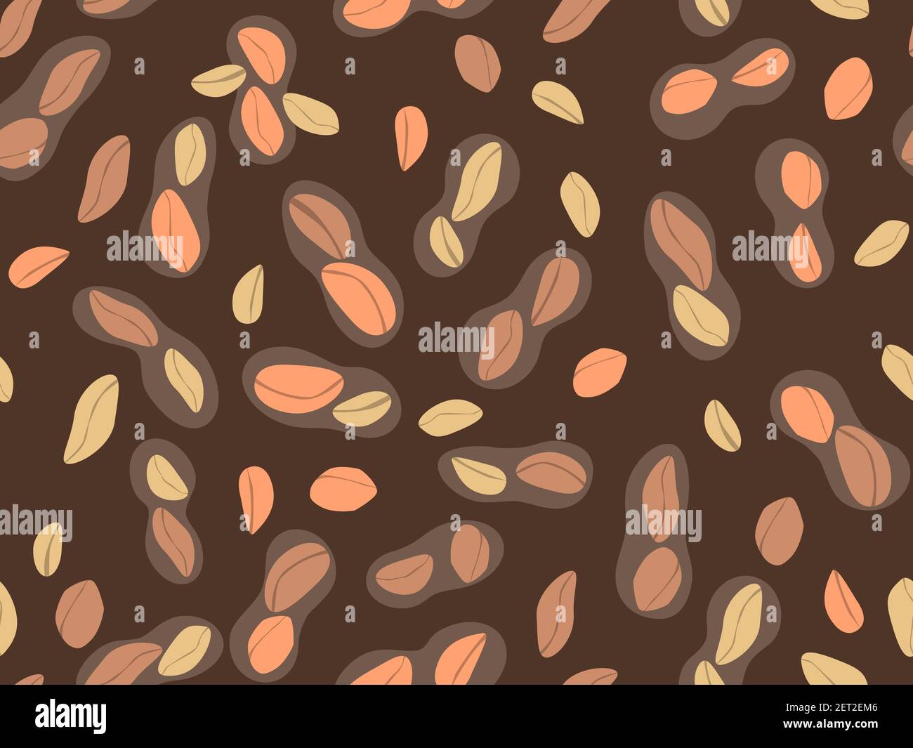 Peanut seamless pattern. Roasted peanuts in shell. Background design ...