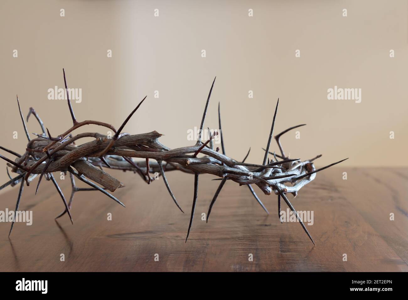 Isolated crown of thorns on wood Stock Photo - Alamy