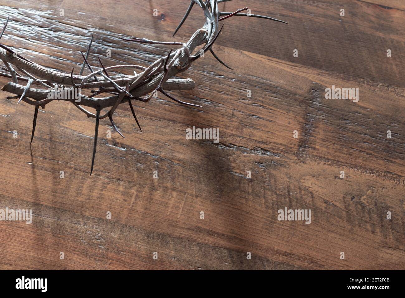 Isolated crown of thorns on wood Stock Photo - Alamy