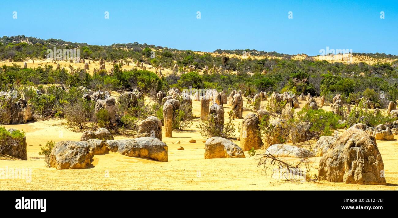 Pinnacles Desert weathered limestone pillars popular tourist attraction ...