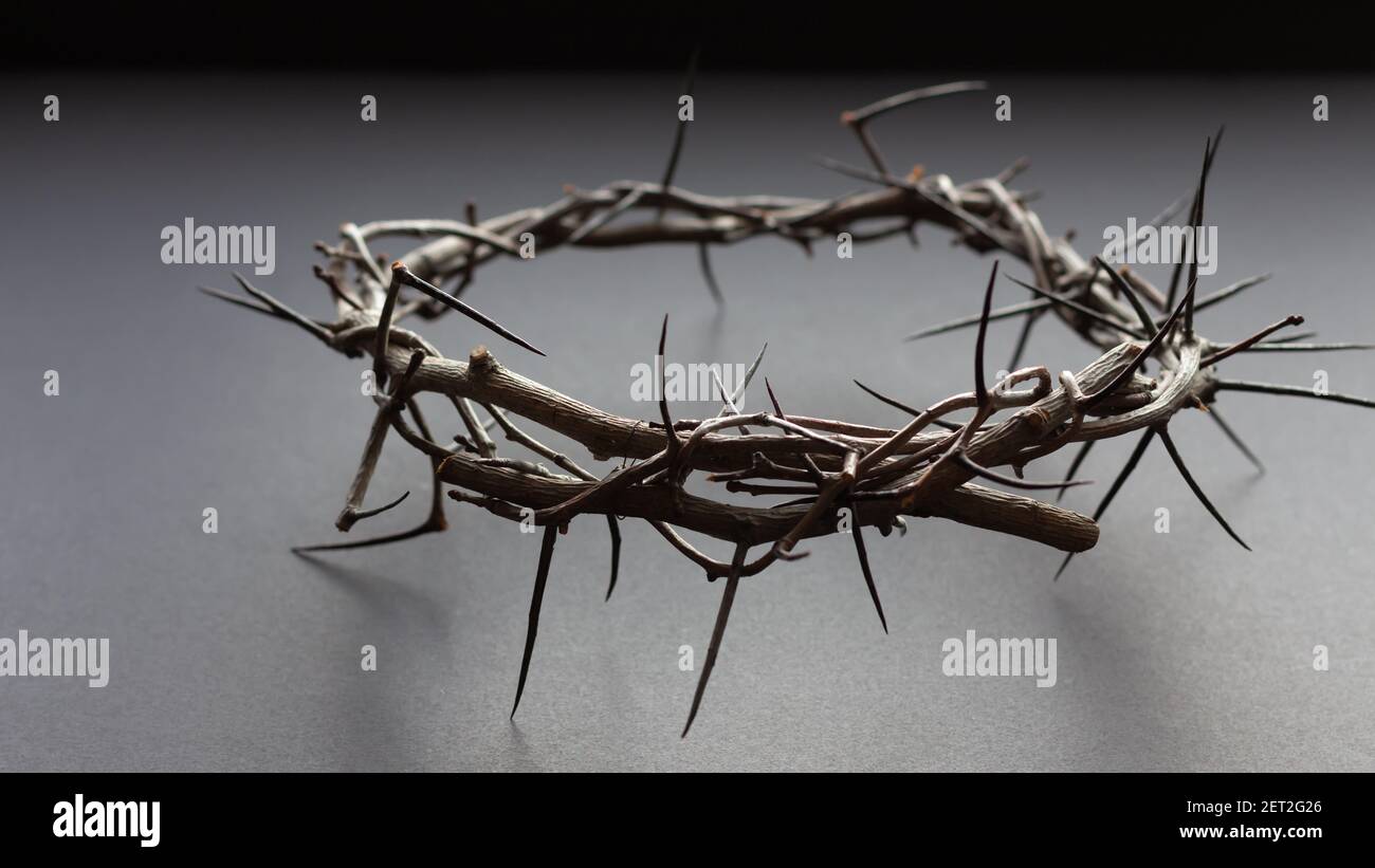 Christian crown of thorns on a black background with copy space Stock ...