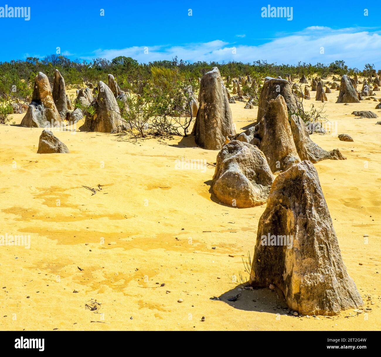 Pinnacles Desert weathered limestone pillars popular tourist attraction ...