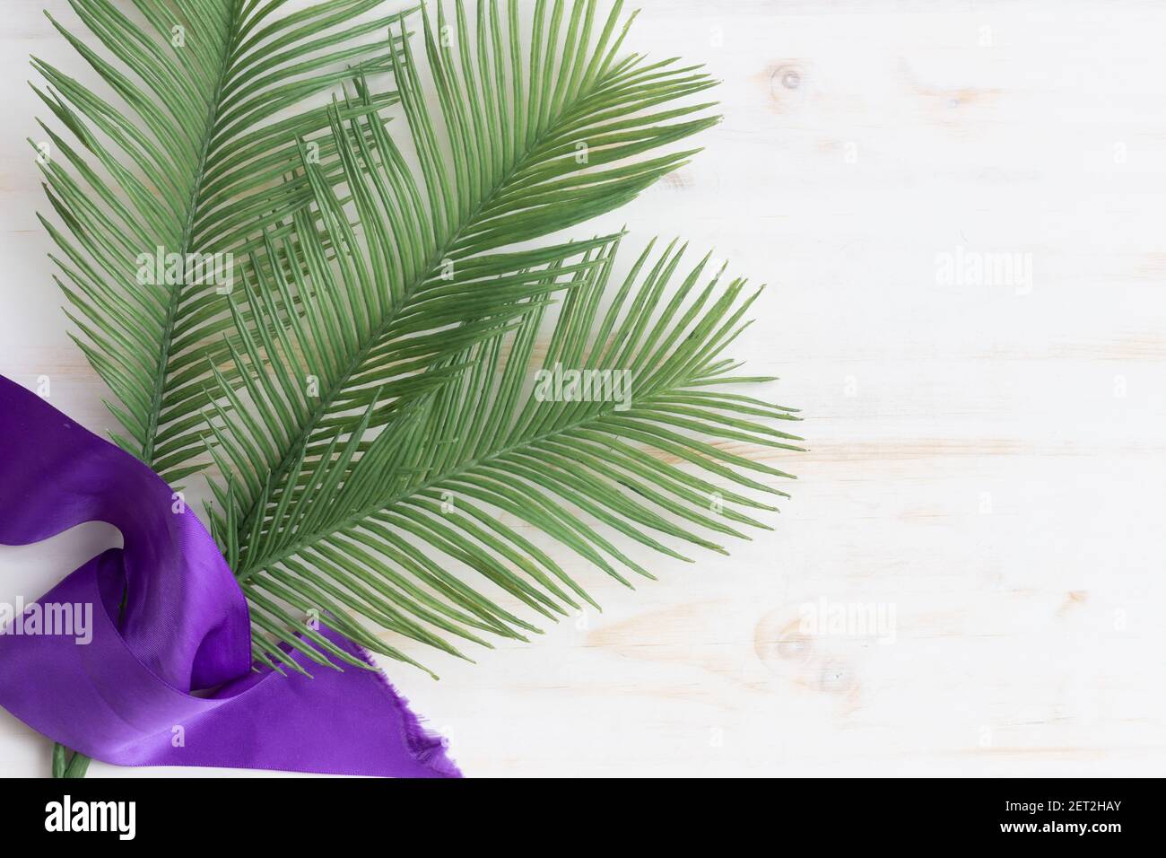 three palm leaves with purple ribbon on a white wood background with ...